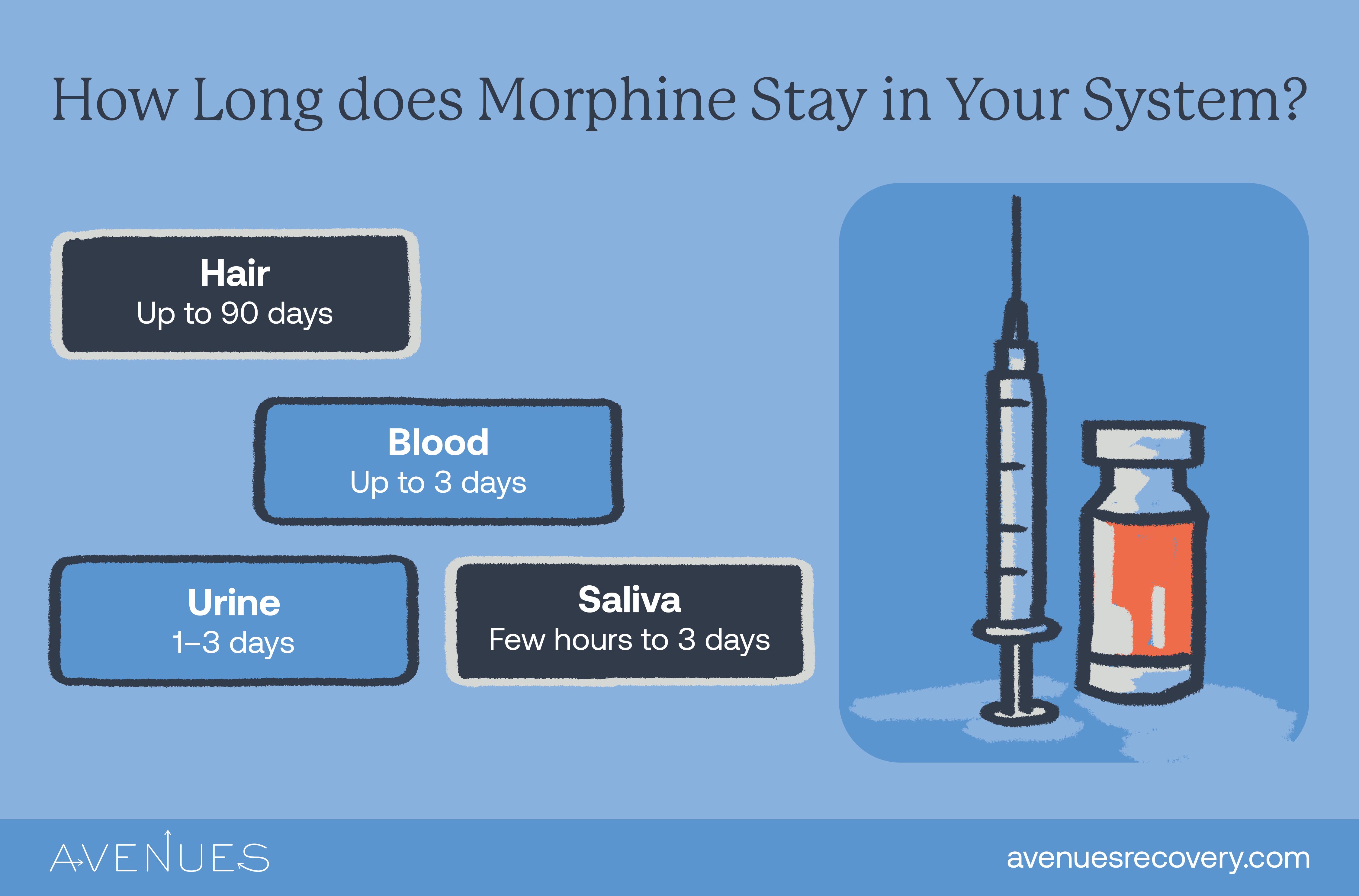How Long Does Morphine Stay In Your System? | Avenues Recovery